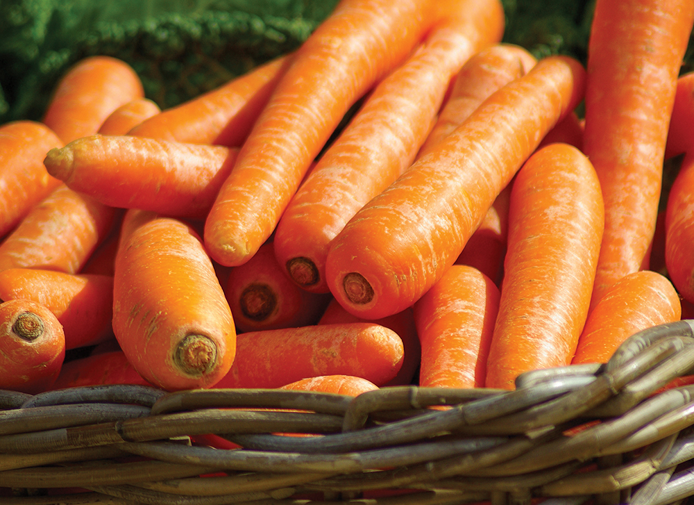 Carrots Foodex
